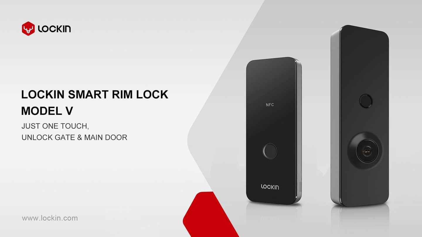 Lockin Model V Smart Gate Lock